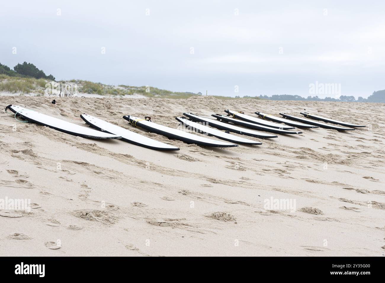 School class on beach hi-res stock photography and images - Alamy