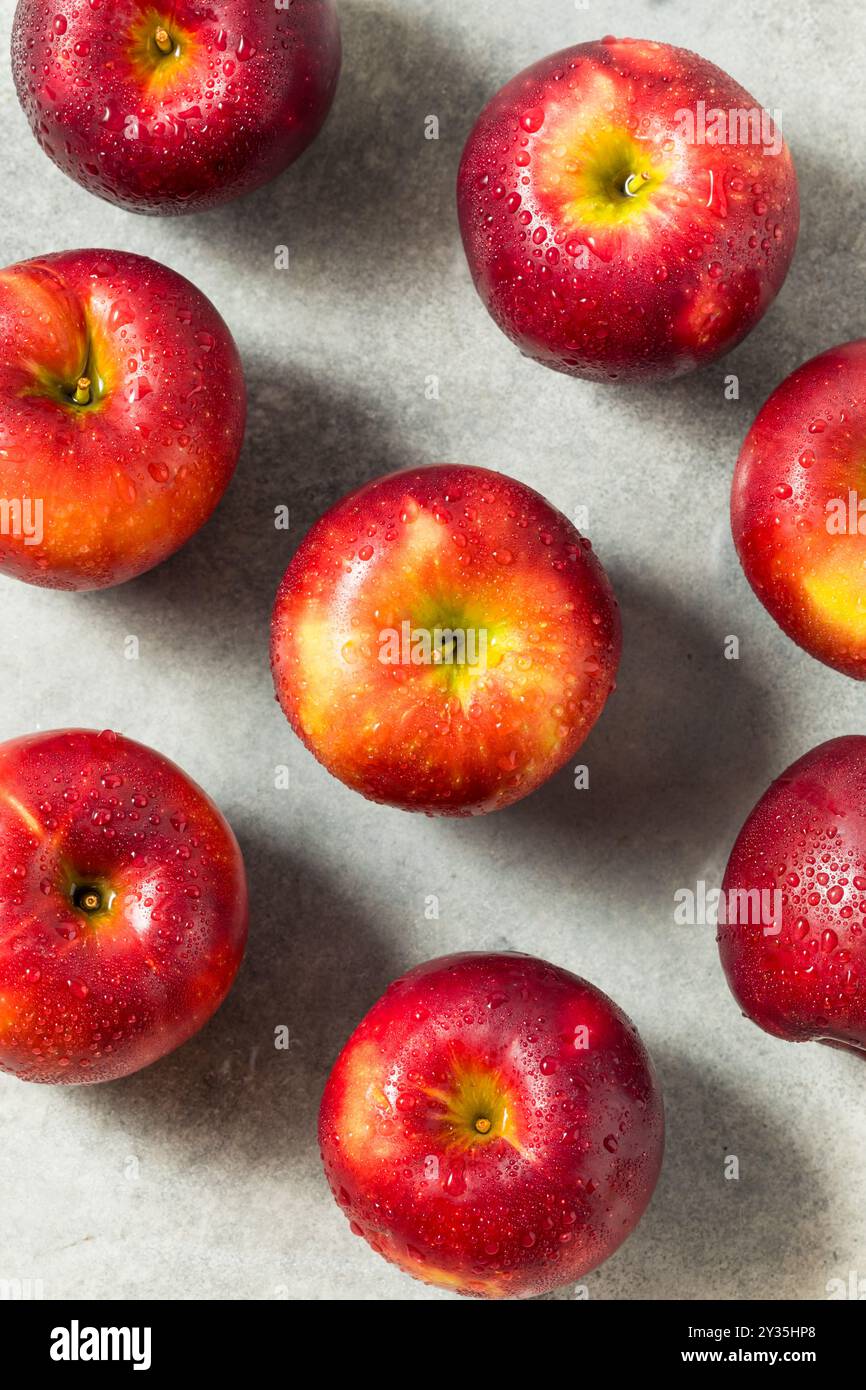 Organic Raw Cosmic Crisp Red Apples in a Bunch Ready to Eat Stock Photo ...