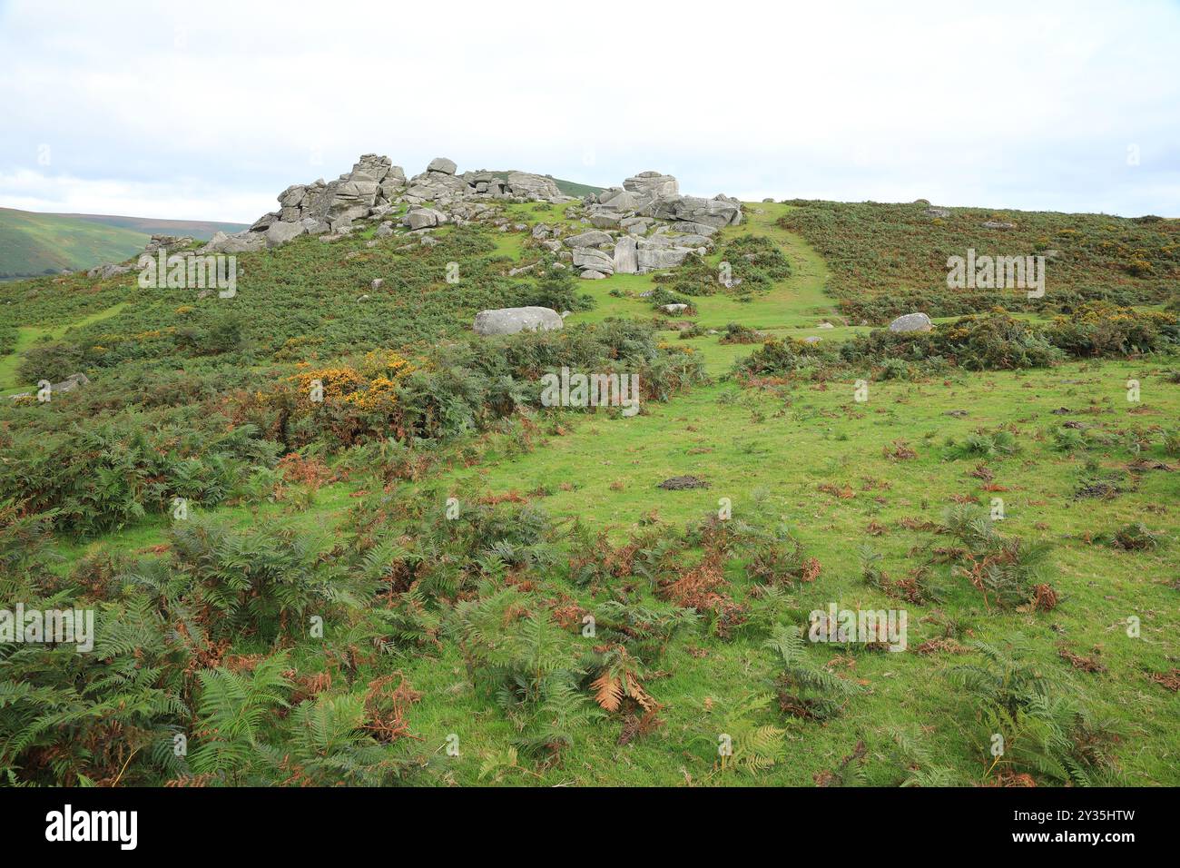 Early autumn view of Bonehill rocks, near Widecombe, Dartmoor, Devon ...
