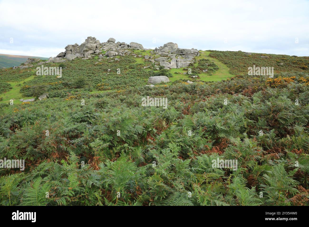 Early autumn view of Bonehill rocks, near Widecombe, Dartmoor, Devon ...