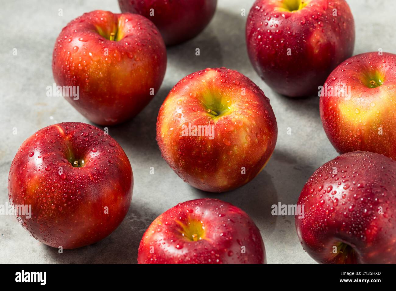 Organic Raw Cosmic Crisp Red Apples in a Bunch Ready to Eat Stock Photo ...