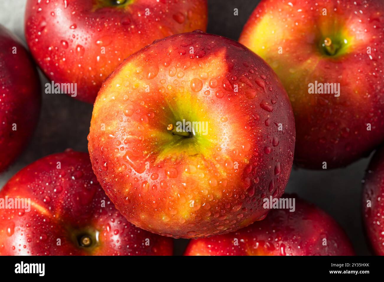 Organic Raw Cosmic Crisp Red Apples in a Bunch Ready to Eat Stock Photo ...