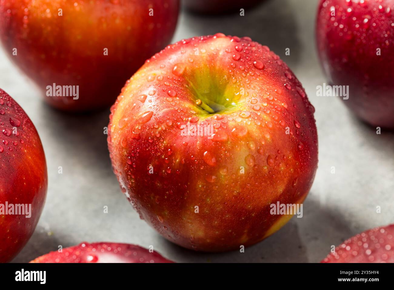 Organic Raw Cosmic Crisp Red Apples in a Bunch Ready to Eat Stock Photo ...