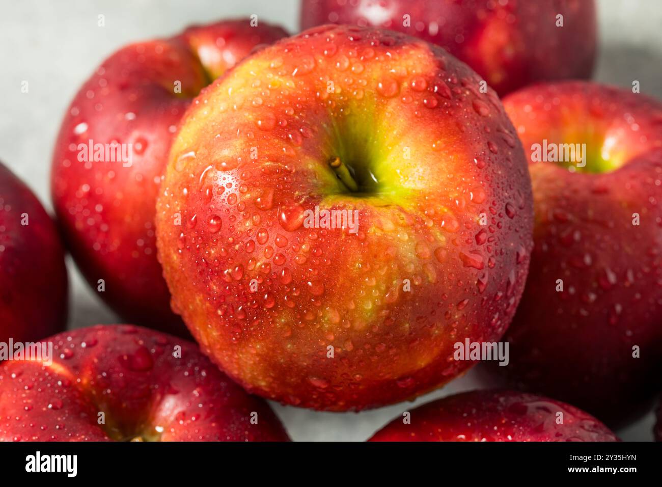 Organic Raw Cosmic Crisp Red Apples in a Bunch Ready to Eat Stock Photo ...