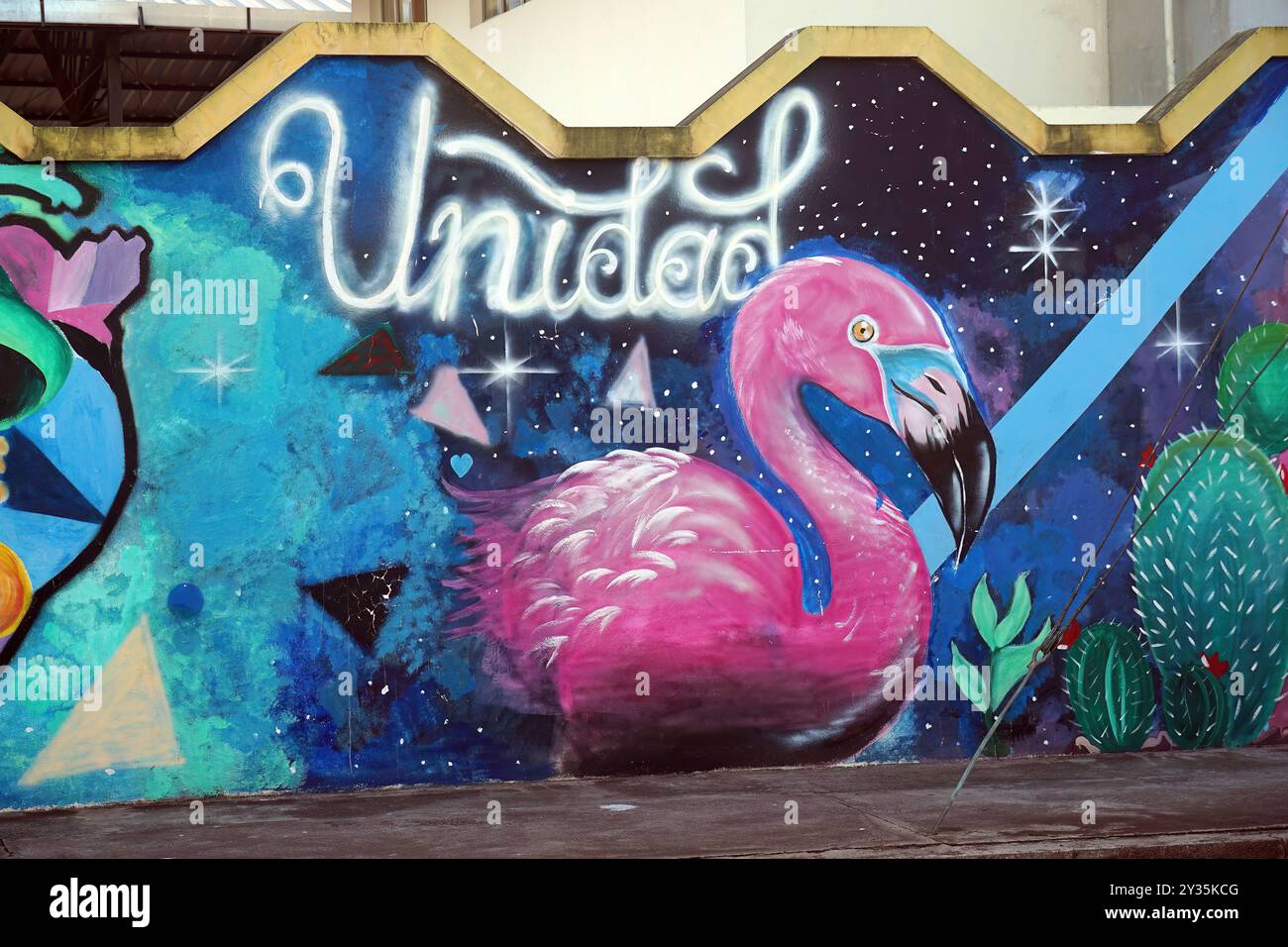 flamingo, street art, graffiti, Puerto Ayora town, Santa Cruz Island ...