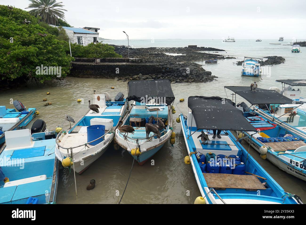 fishing boats, Muelle de Los Pescadores, Fisherman's Wharf, Puerto ...