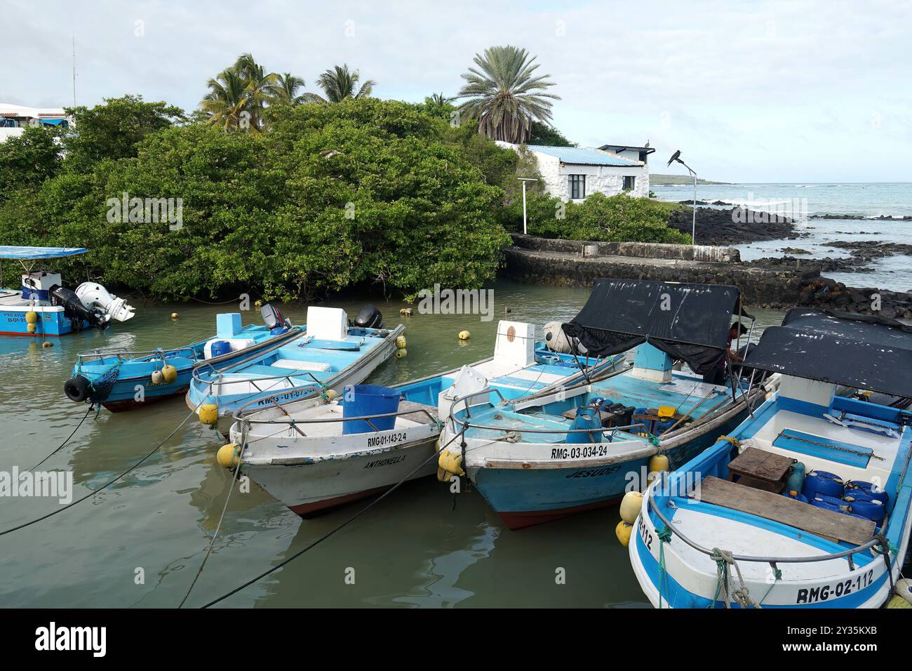 fishing boats, Muelle de Los Pescadores, Fisherman's Wharf, Puerto ...