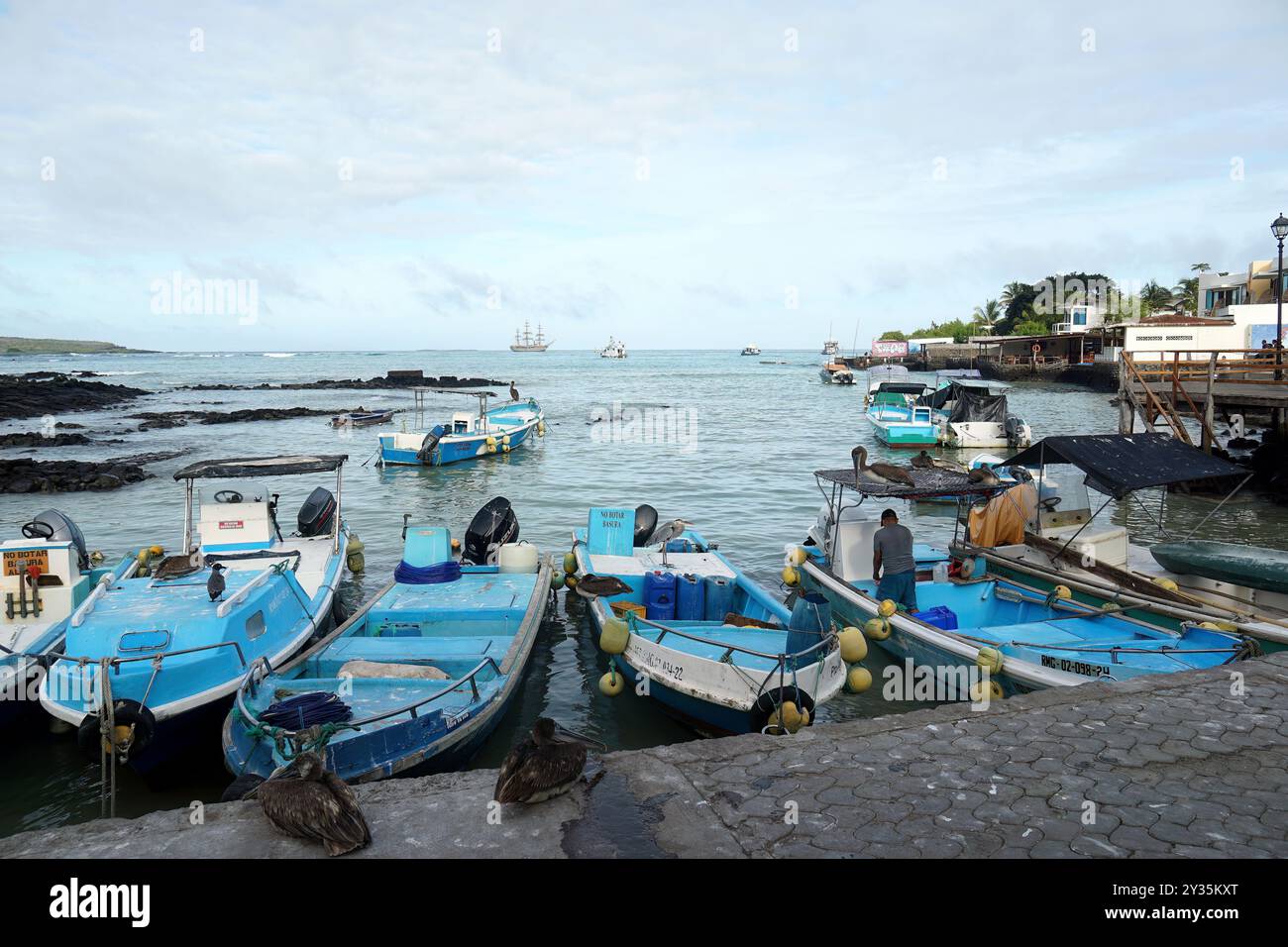 fishing boats, Muelle de Los Pescadores, Fisherman's Wharf, Puerto ...