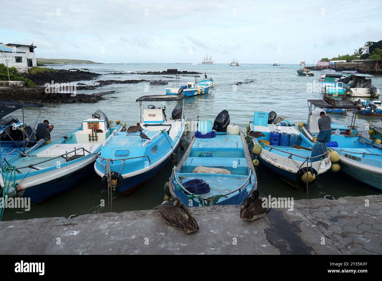 fishing boats, Muelle de Los Pescadores, Fisherman's Wharf, Puerto ...