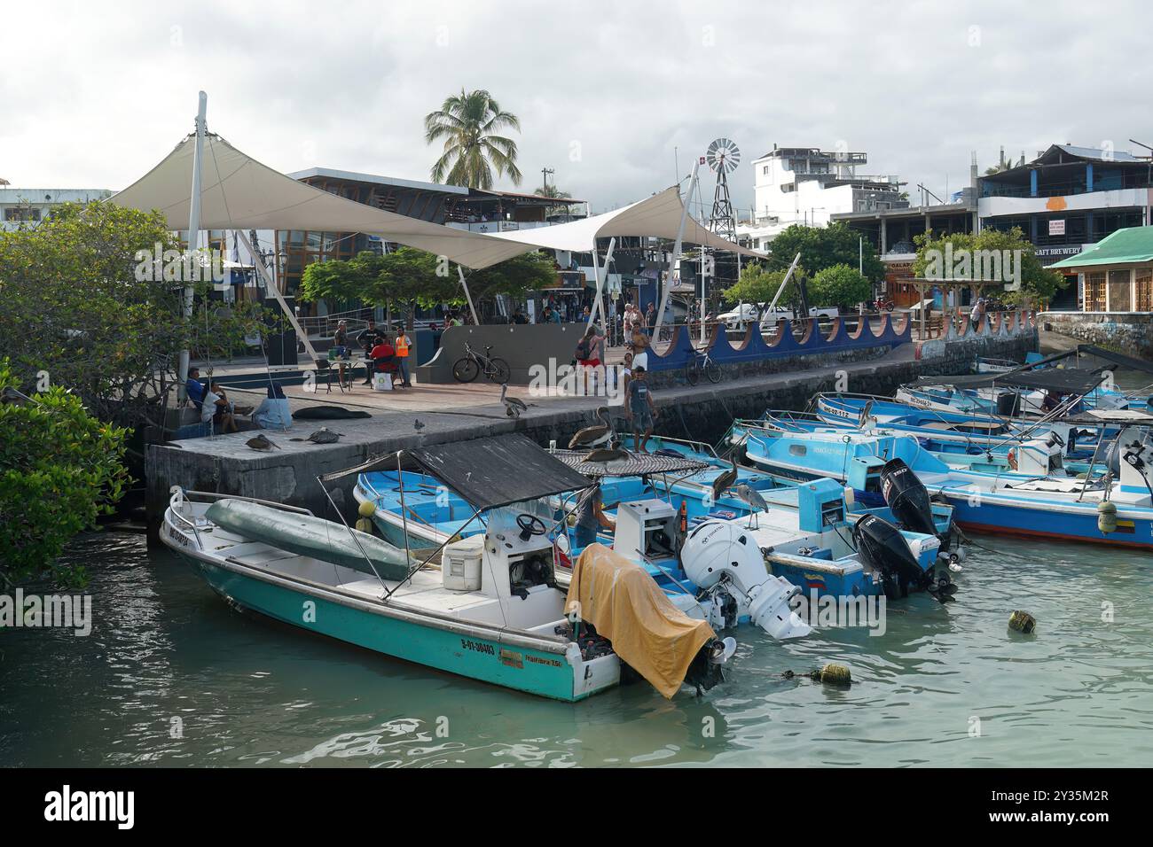 fishing boats, Muelle de Los Pescadores, Fisherman's Wharf, Puerto ...