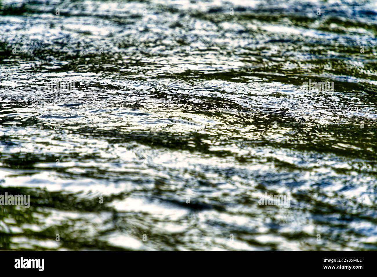 View of the water surface of the river Würm with intense green algae ...