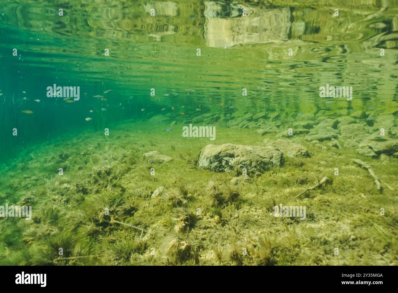 Underwater photo, clear water at the quarry of Lake Rummu Stock Photo ...