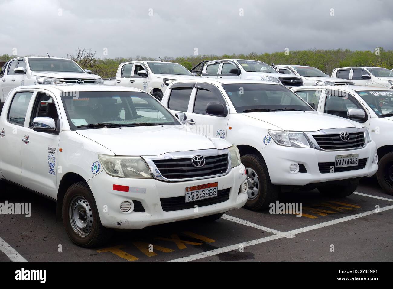 pickup cars, Santa Cruz Island, Galápagos, Ecuador, South America Stock ...