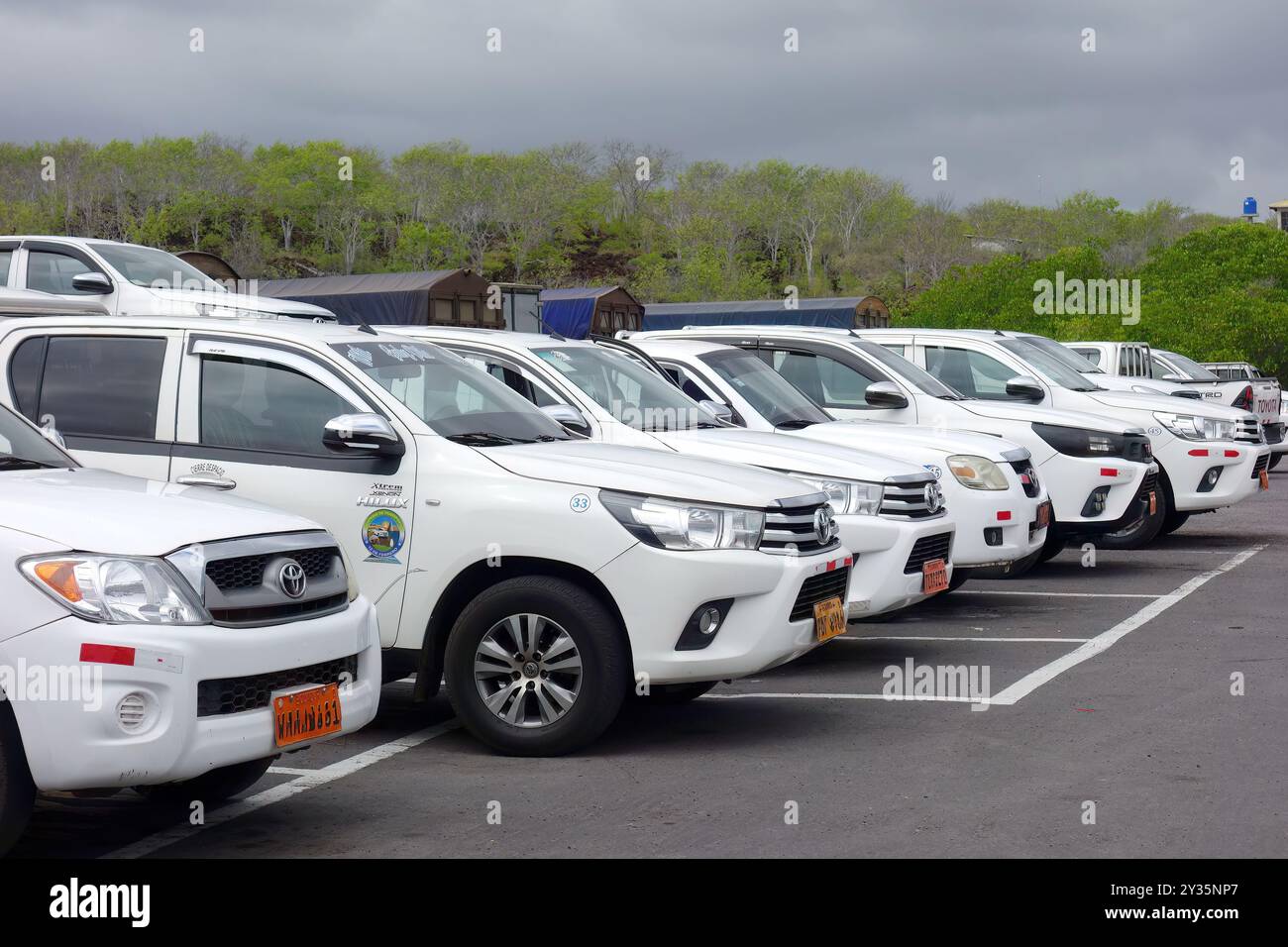 pickup cars, Santa Cruz Island, Galápagos, Ecuador, South America Stock ...