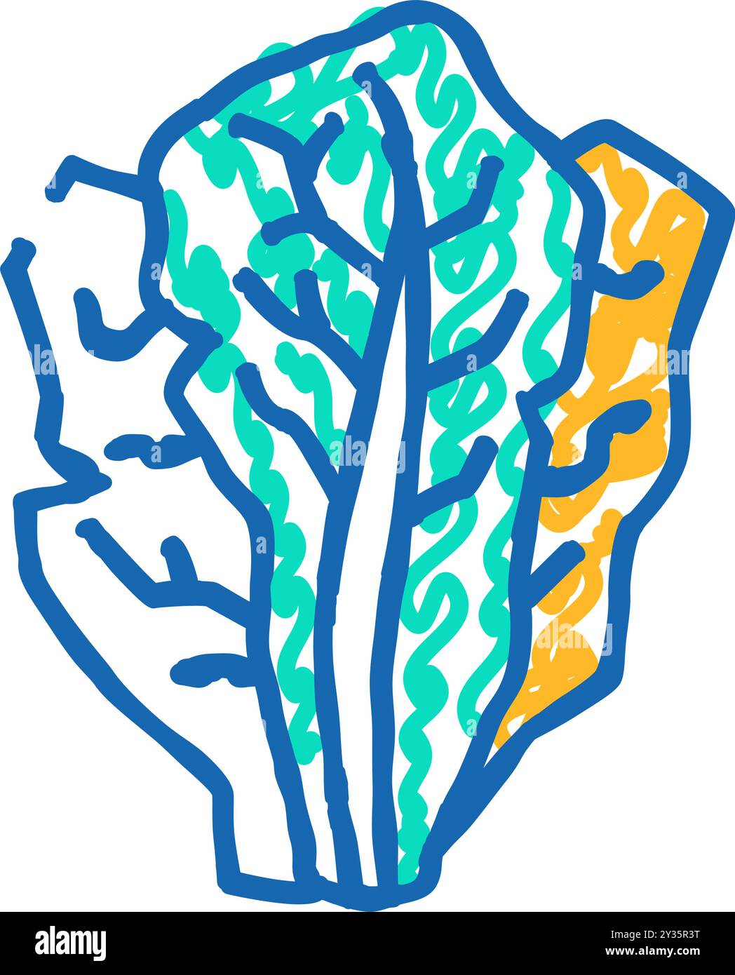 lettuce food icon doodle illustration Stock Vector Image & Art - Alamy