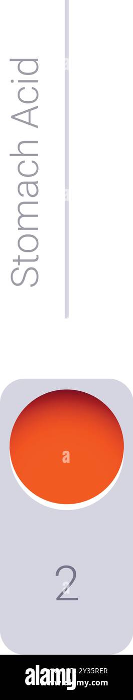 Stomach acid level measuring scale showing high acidity level, health ...