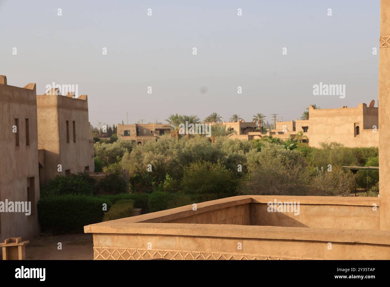 Olive trees in the Marrakech region of Morocco. Marrakech, Marrakech ...