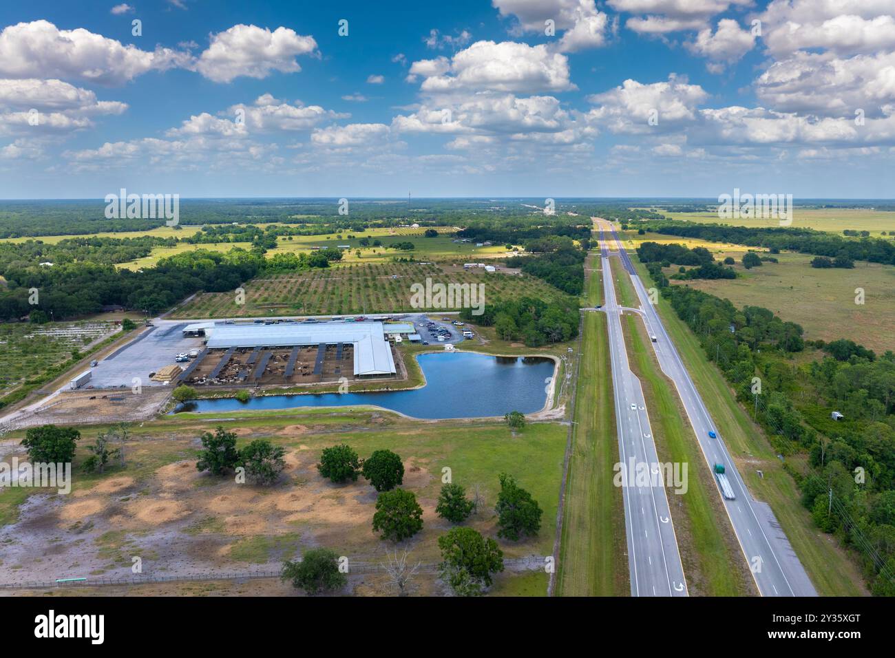 Cow feed lot with meat cows. Cattle stockyard on farm in USA Stock ...