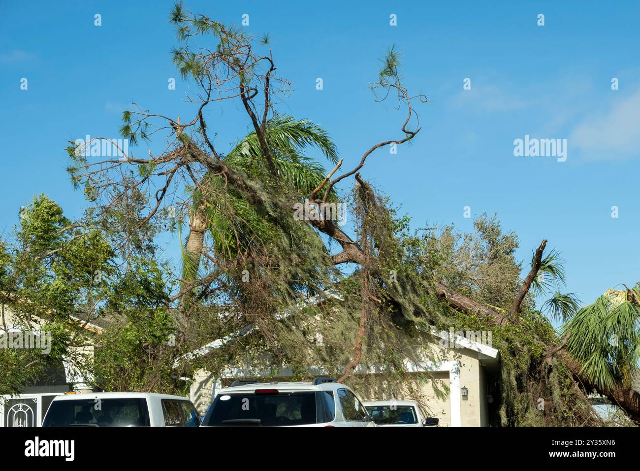 Damage to Florida house roof from uprooted tree after hurricane ...