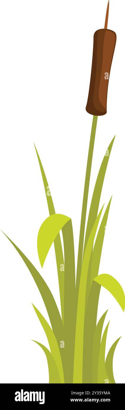 This cartoon illustration of a bulrush growing is perfect for projects ...