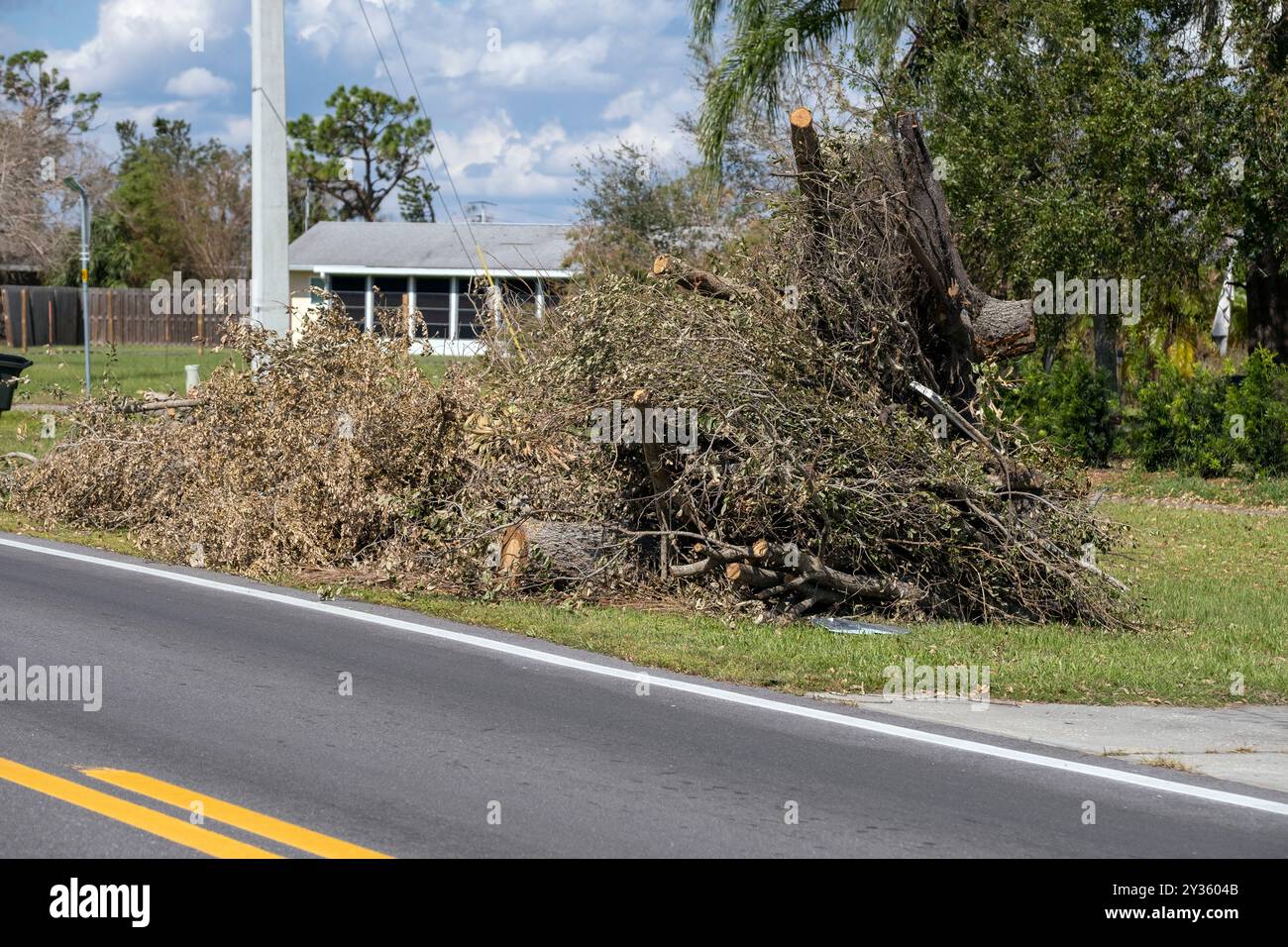 Heaps of limbs and branches debris from hurricane winds on street side ...