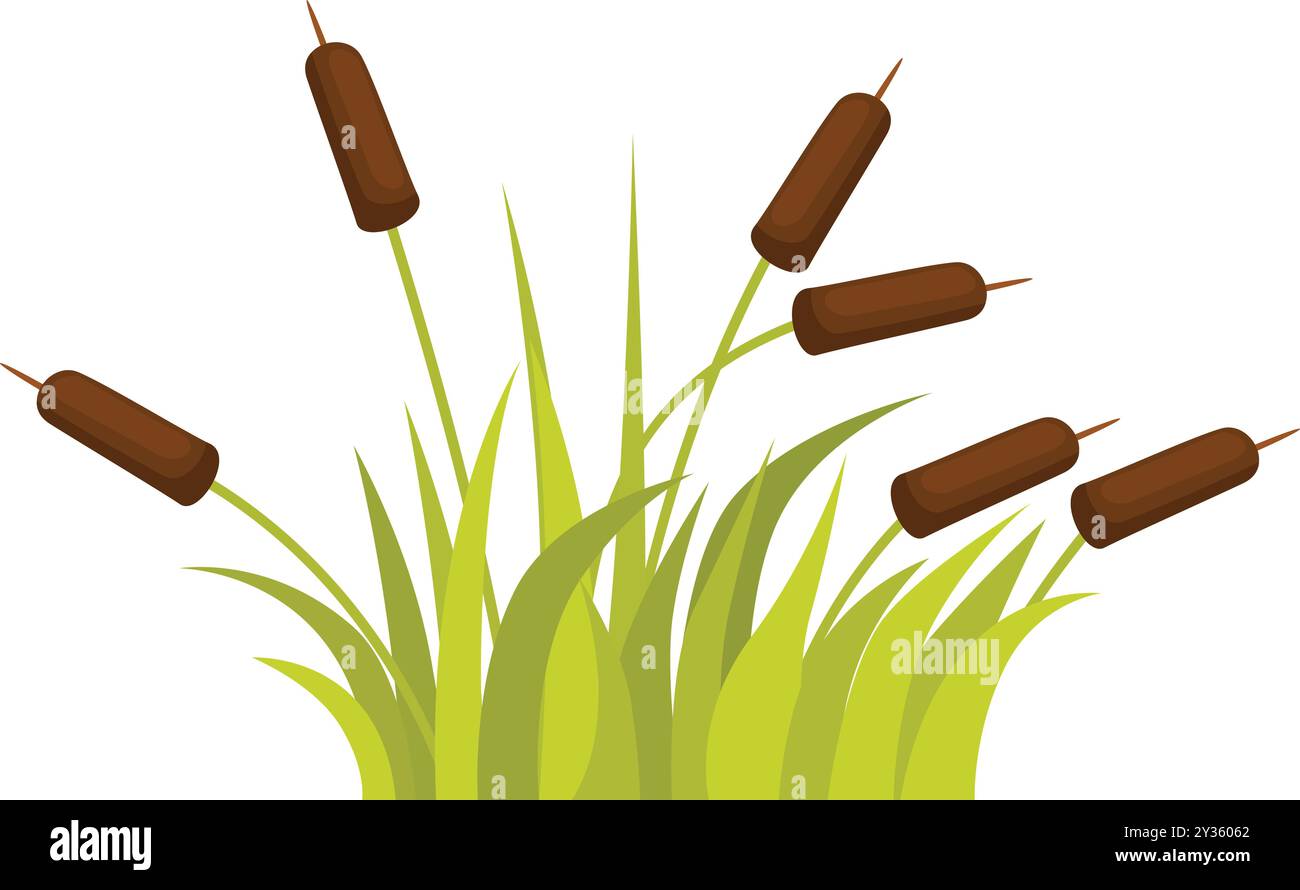 Patch green grass in Cut Out Stock Images & Pictures - Alamy