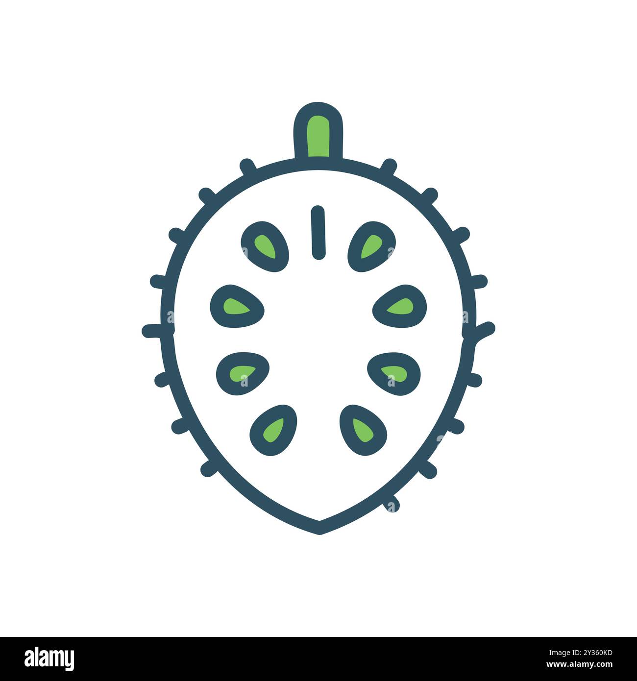 Spiky fruit icon. Spiky green fruit with many seeds, representing ...