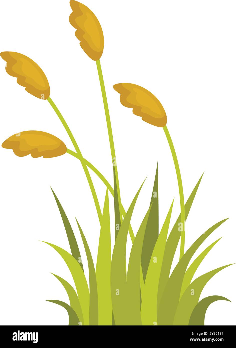 Fall lake grass Cut Out Stock Images & Pictures - Alamy