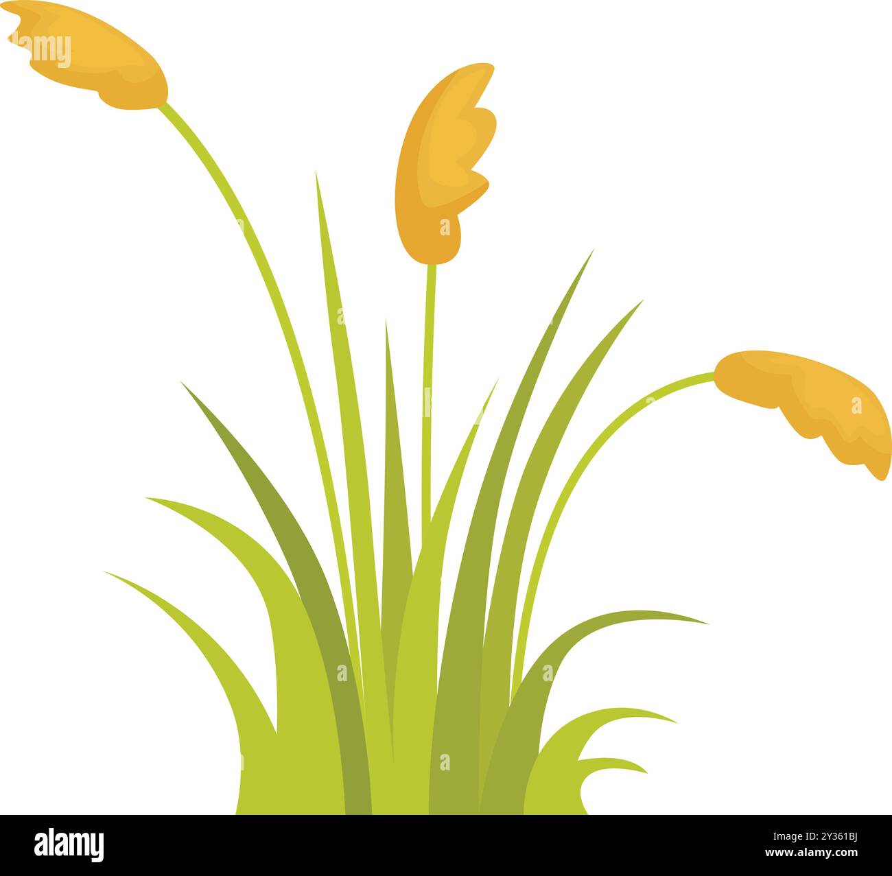 Three reed plants with long stems and yellow flowers growing in a ...