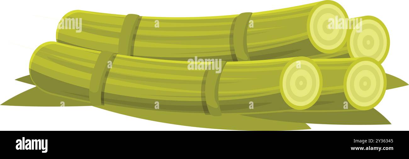 Green sugarcane sticks with cut pieces lying on the ground Stock Vector ...