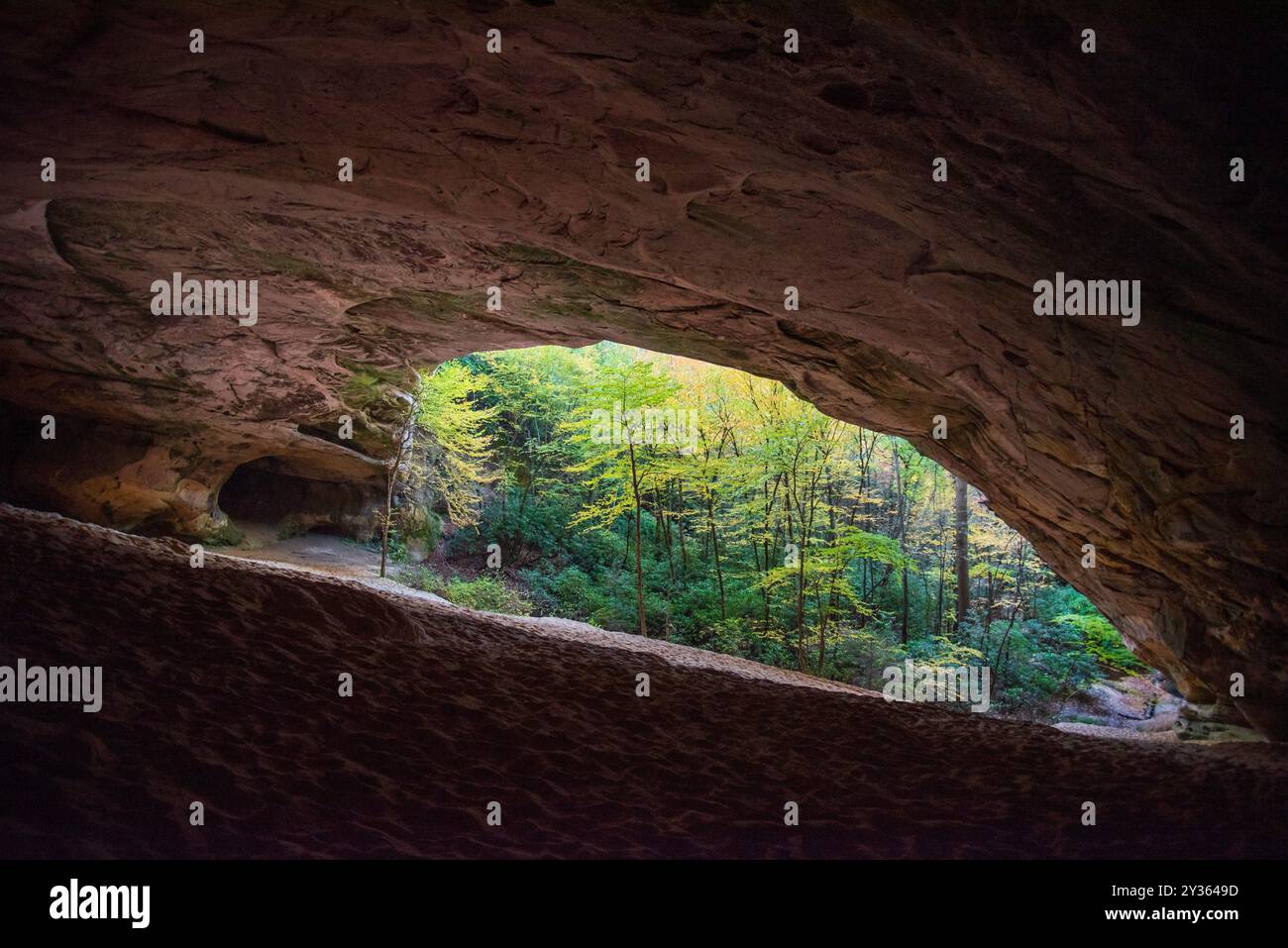 Sand Cave in Cumberland Gap National Historical Par Stock Photo - Alamy