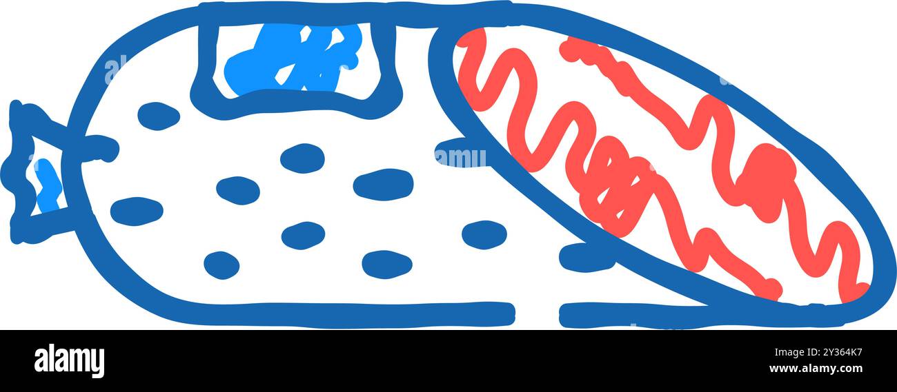 salami sausage meat icon doodle illustration Stock Vector Image & Art ...