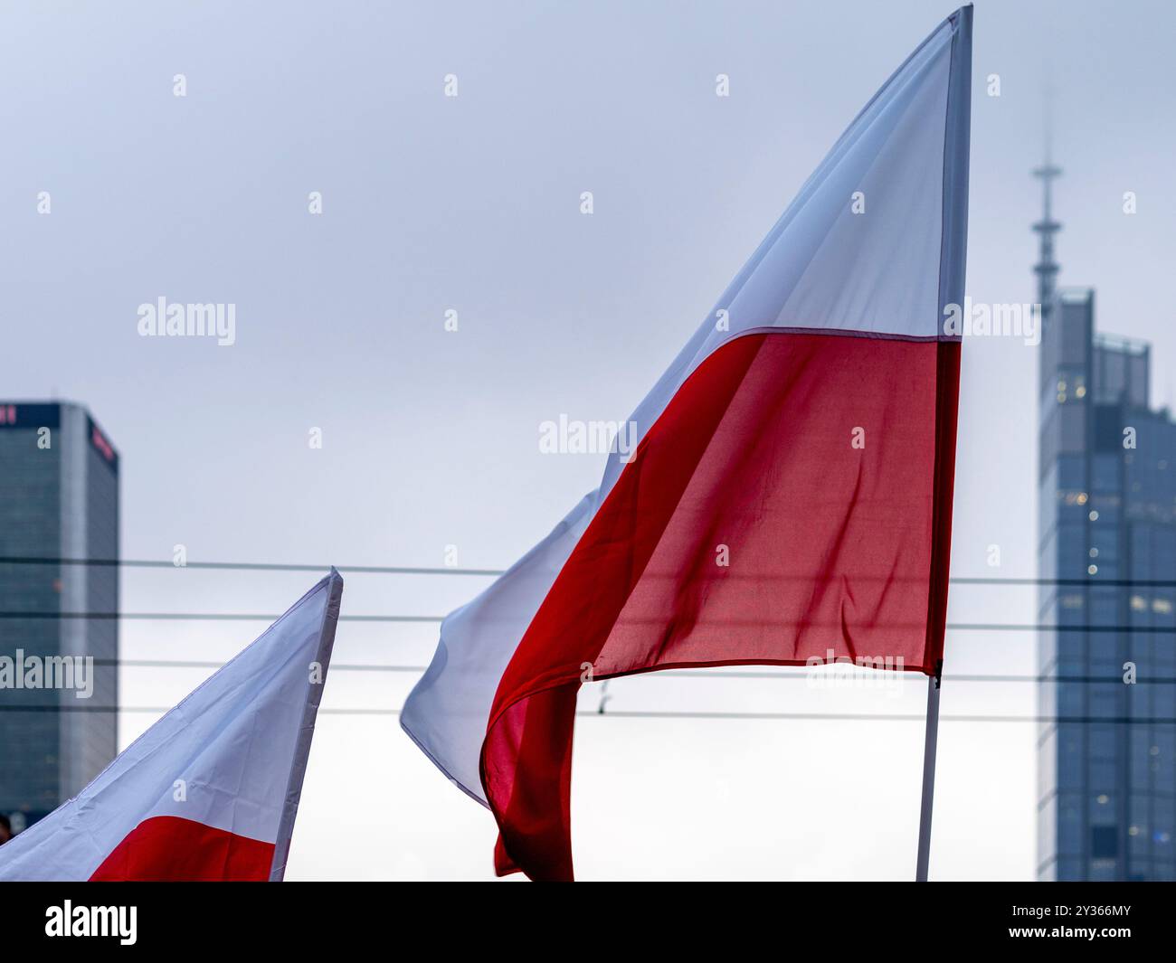 Polish, white and red flags against the background with blurry ...