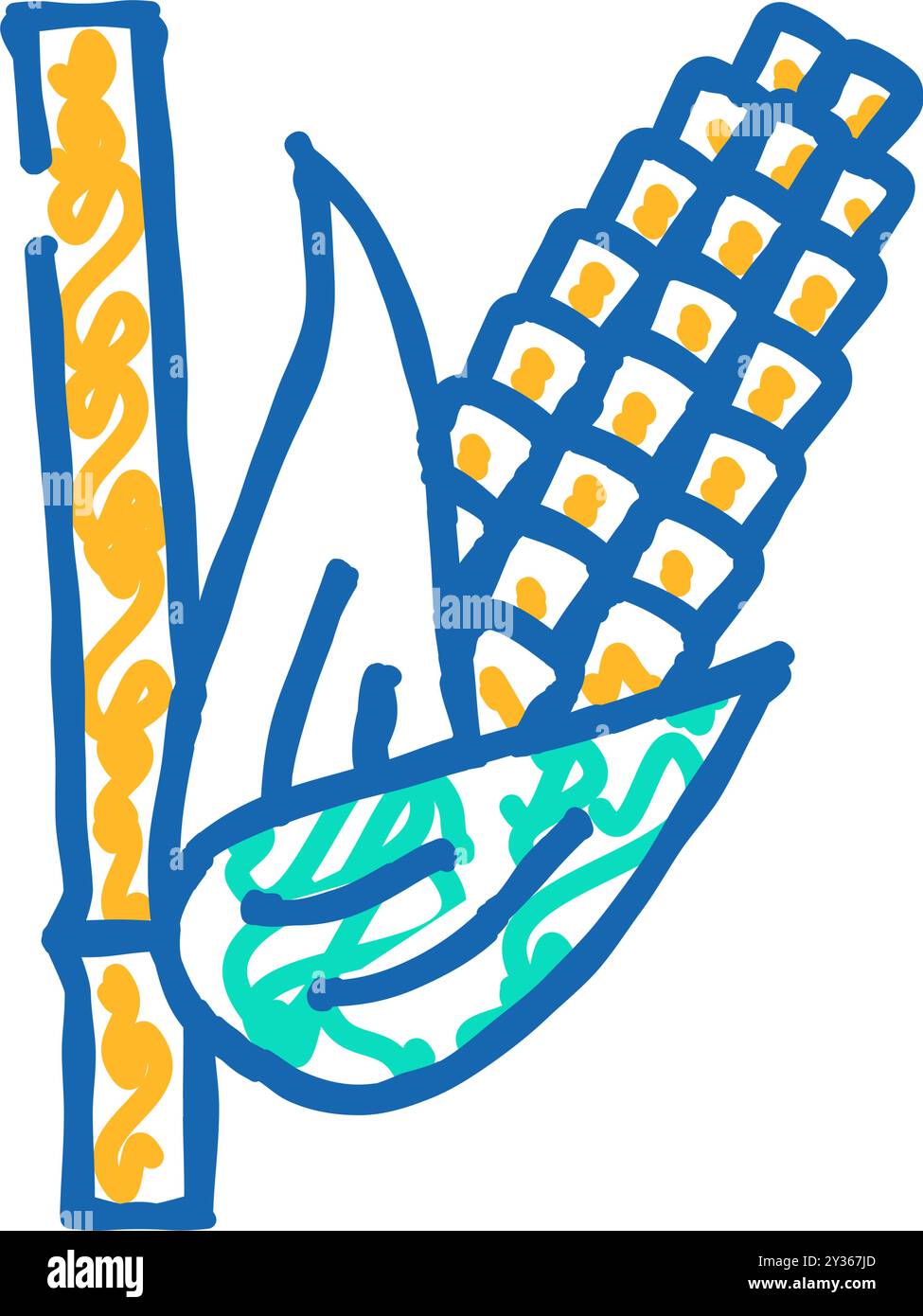 corn plant food icon doodle illustration Stock Vector Image & Art - Alamy