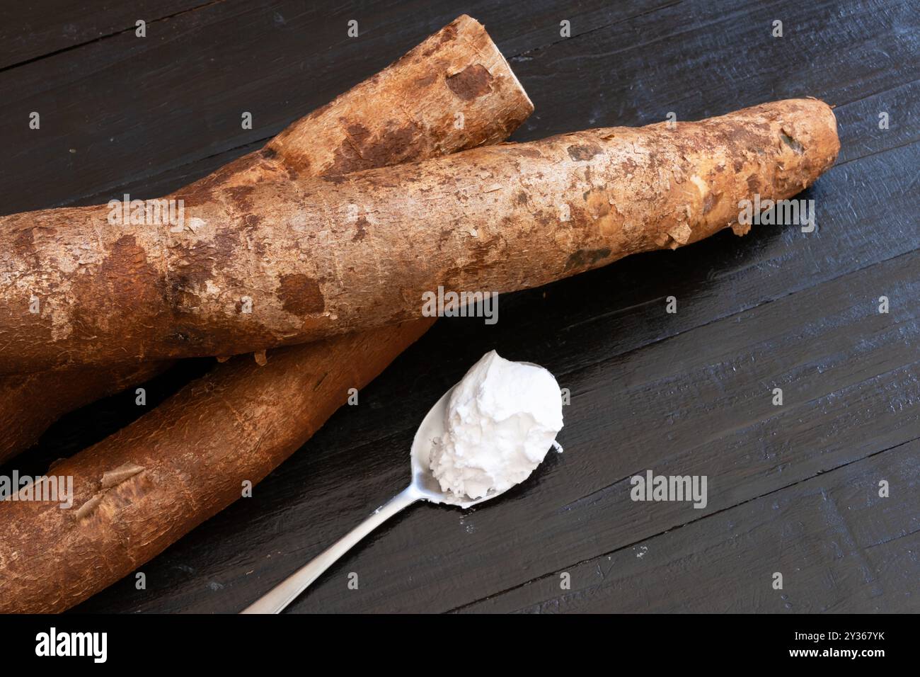 Three cassava roots on a wooden table with a spoon full of tapioca ...