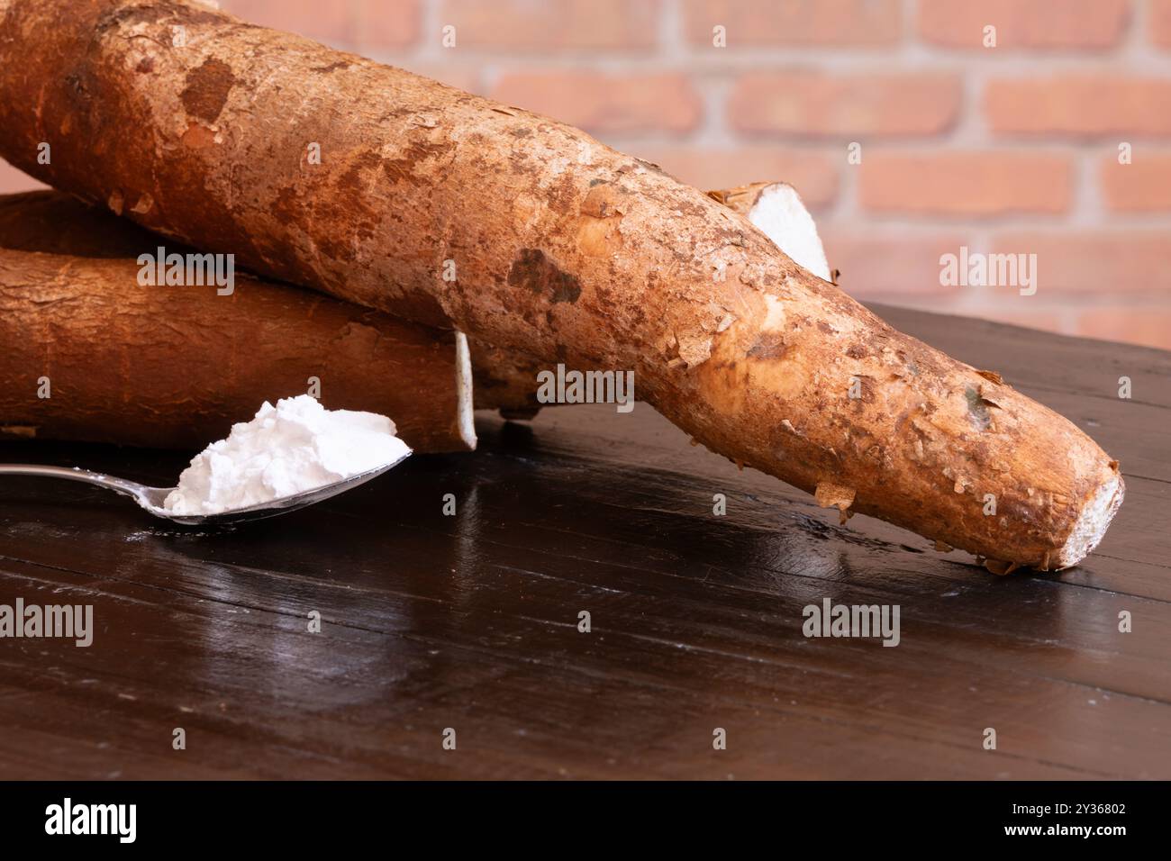 Three cassava roots on a table with a spoon full of tapioca flour next ...