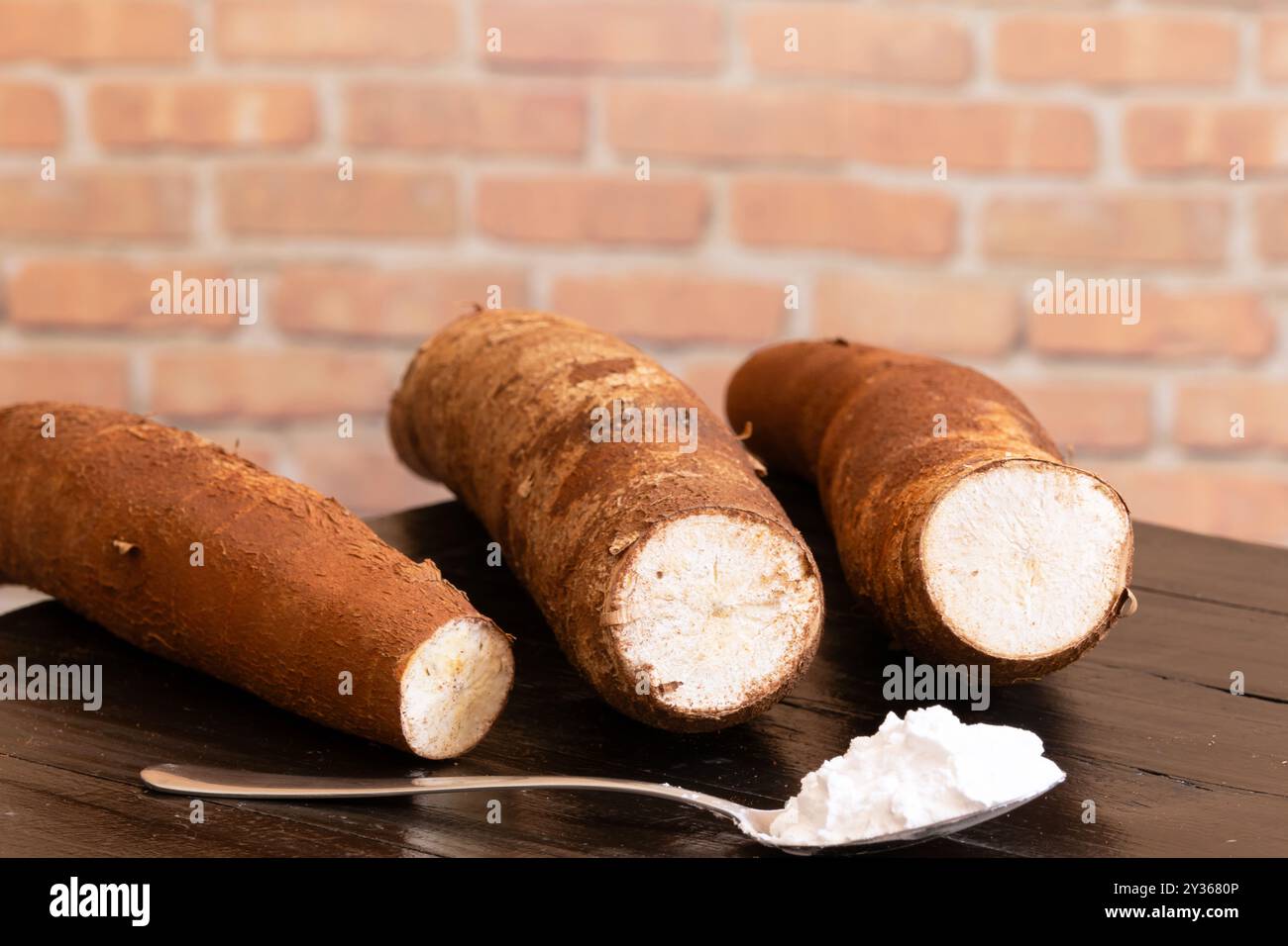 Three cassava roots on a table with a spoon full of tapioca flour in ...