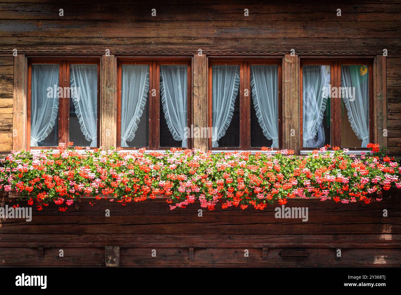 Window planters on a typical Swiss chalet building in the sunsine ...