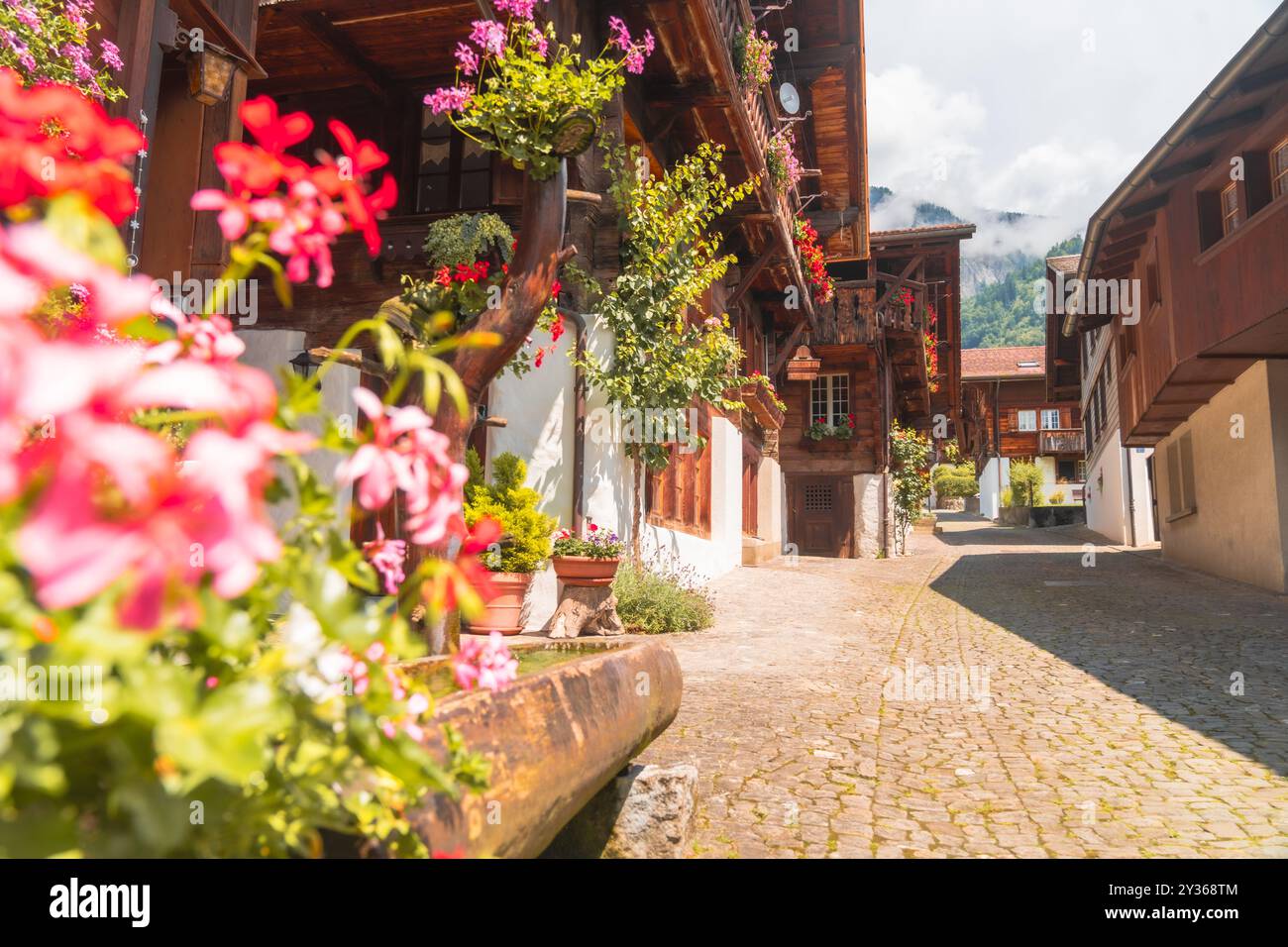 Potted plants on Brunngasse Street, Brienz, Switzerland. This Street ...