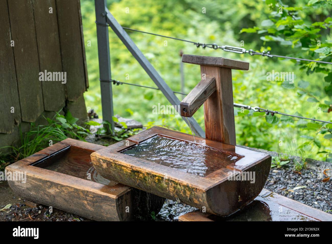Drinking fountain trough with fresh, clean potable drinknig water ...