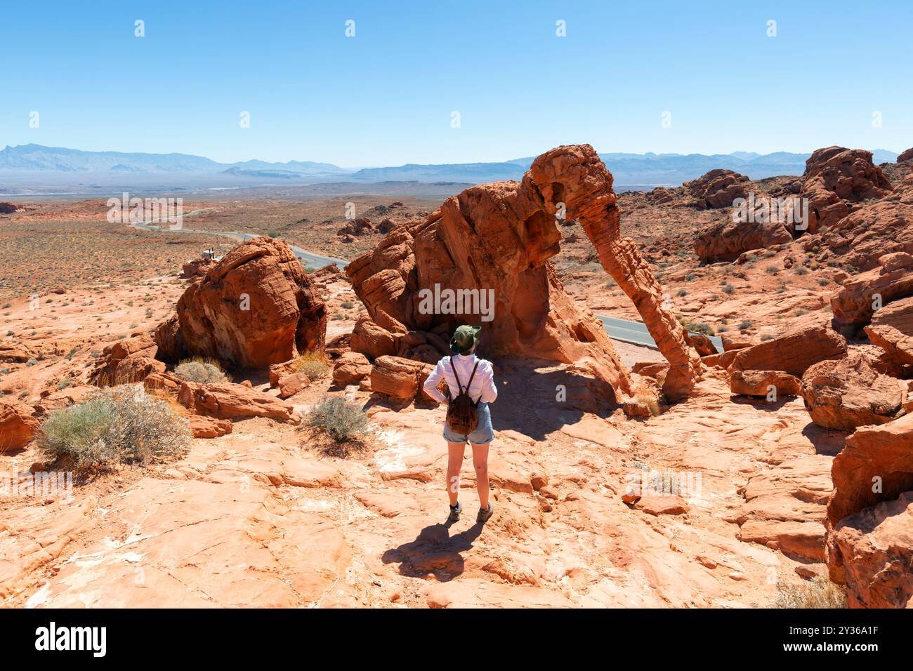 Girl standing on Elephant Rock at Valley of Fire State Park in a sunny ...