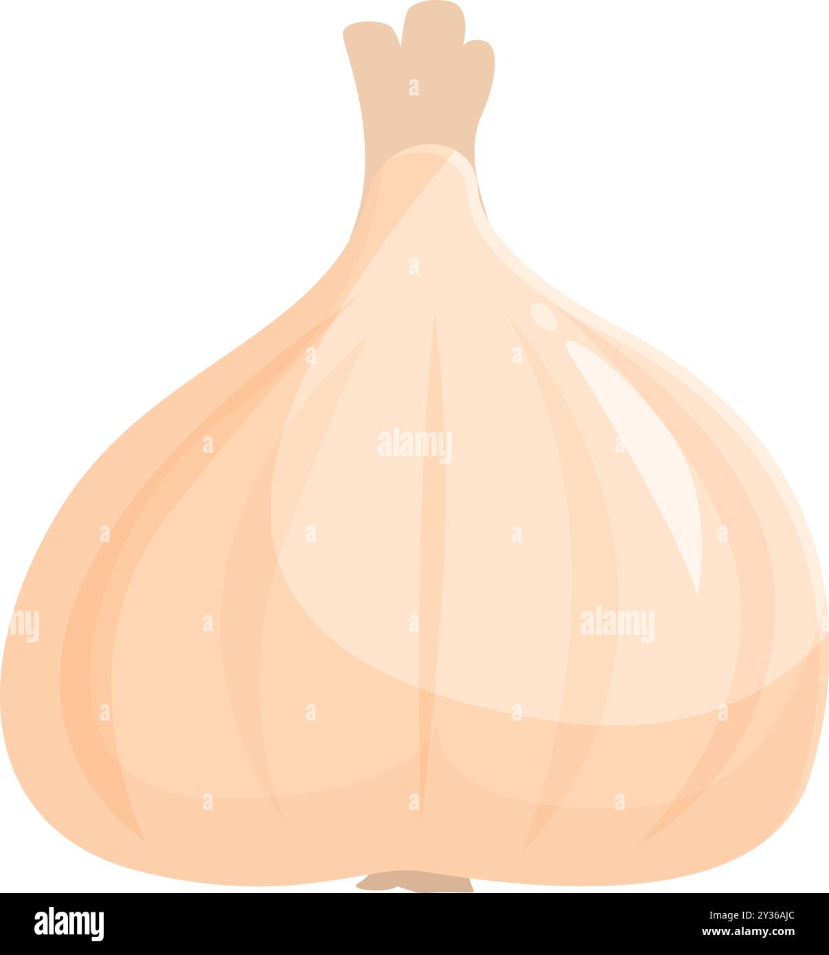 Cartoon illustration of a single garlic bulb sitting on a plain white ...