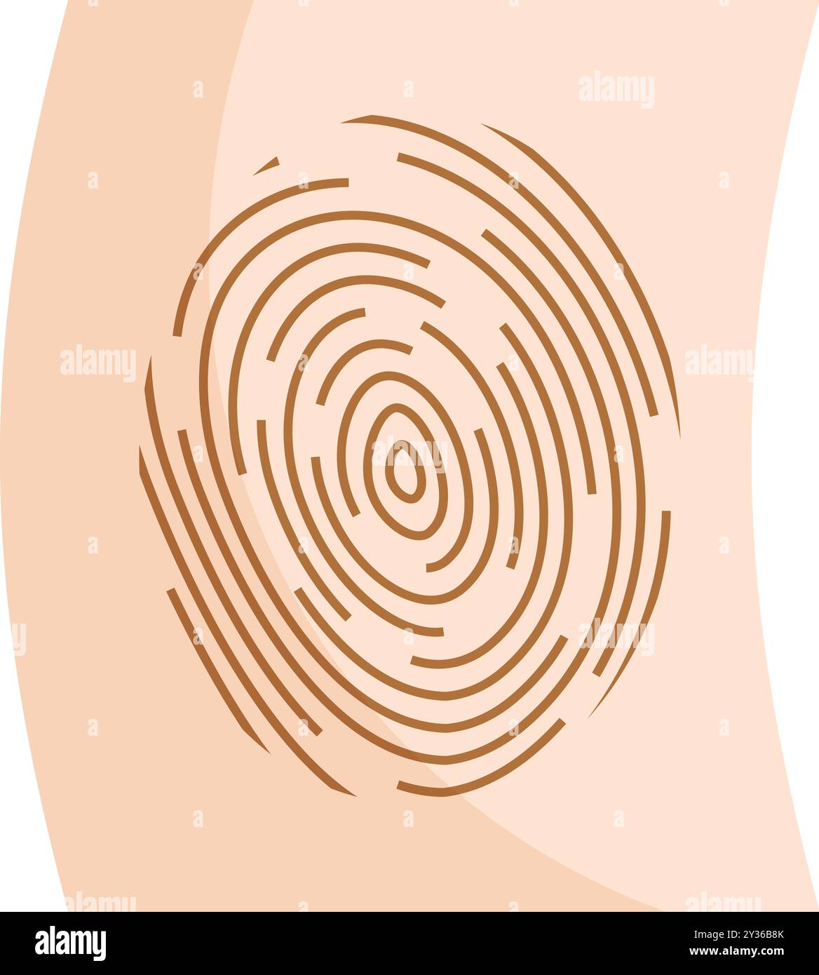 Fingerprint swirling with lines forming a unique pattern on a skin ...