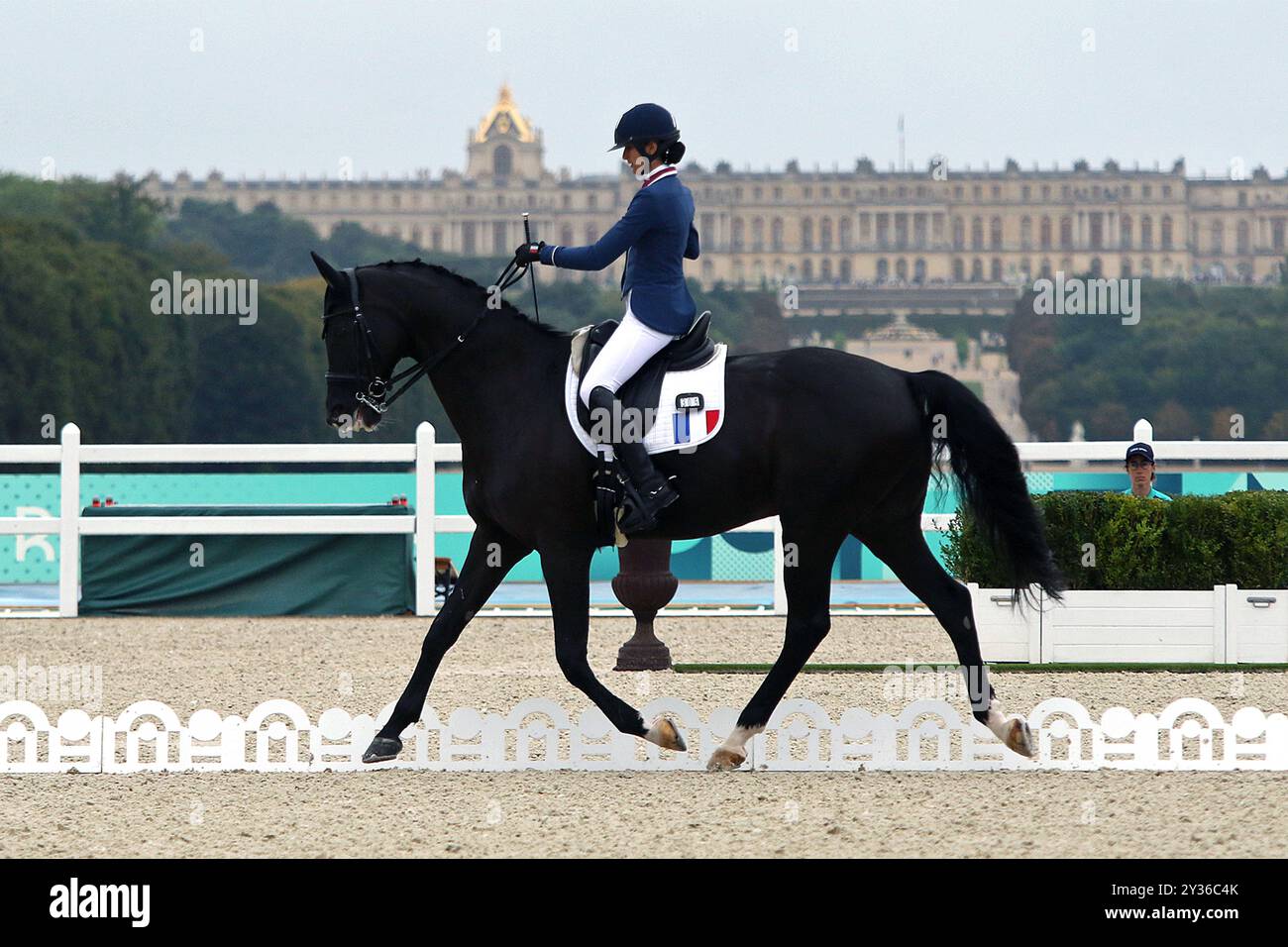 Chiara ZENATI of France on the horse SWING ROYAL - Para Equestrian ...