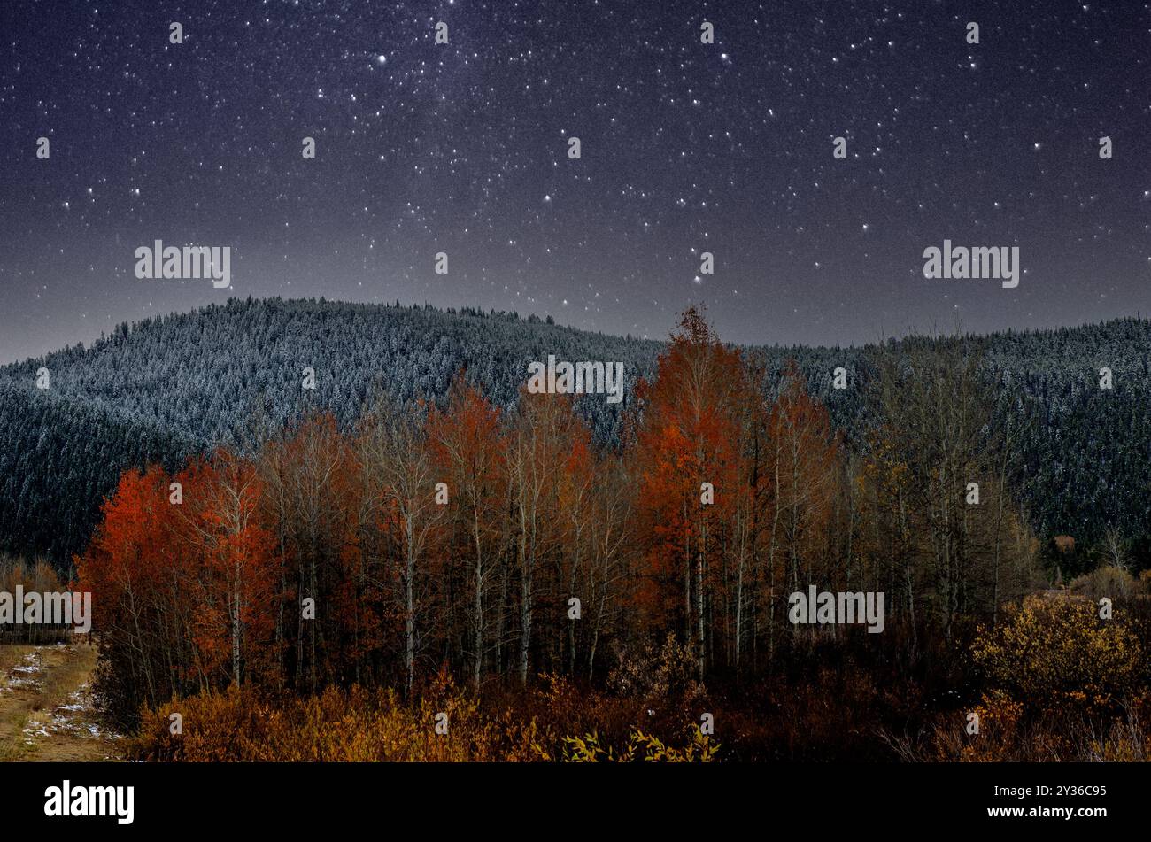 Astrophotography Starry Night the Teton Range of Grand Teton National ...