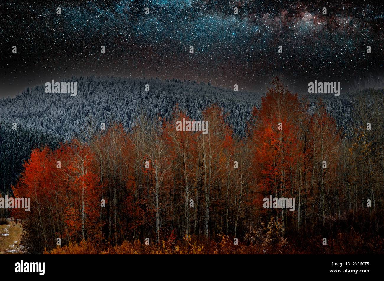Astrophotography Starry Night the Teton Range of Grand Teton National ...