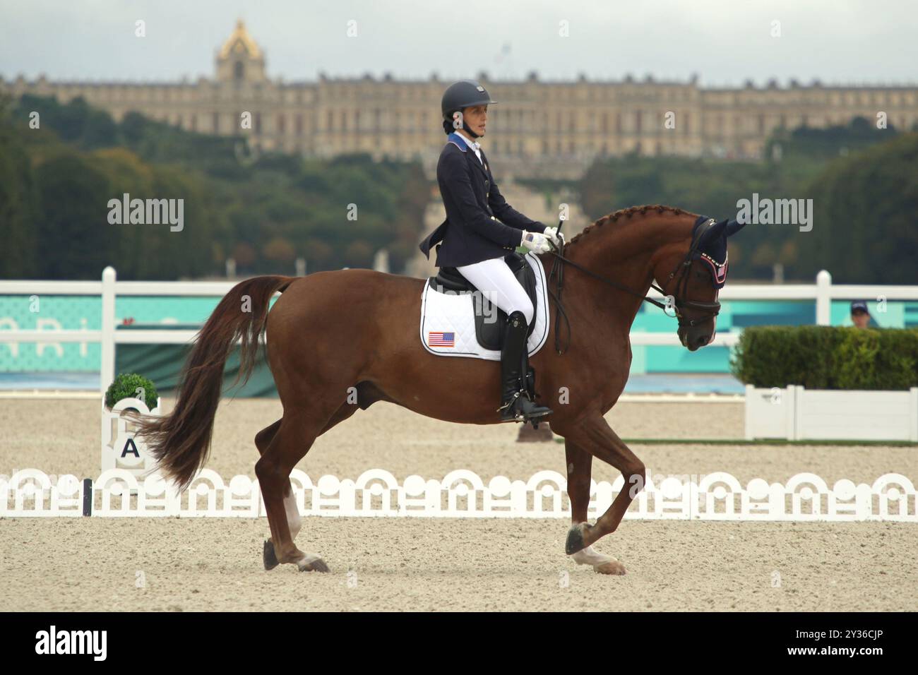 Fiona HOWARD of the USA wins gold on the horse DIAMOND DUNES - Para ...