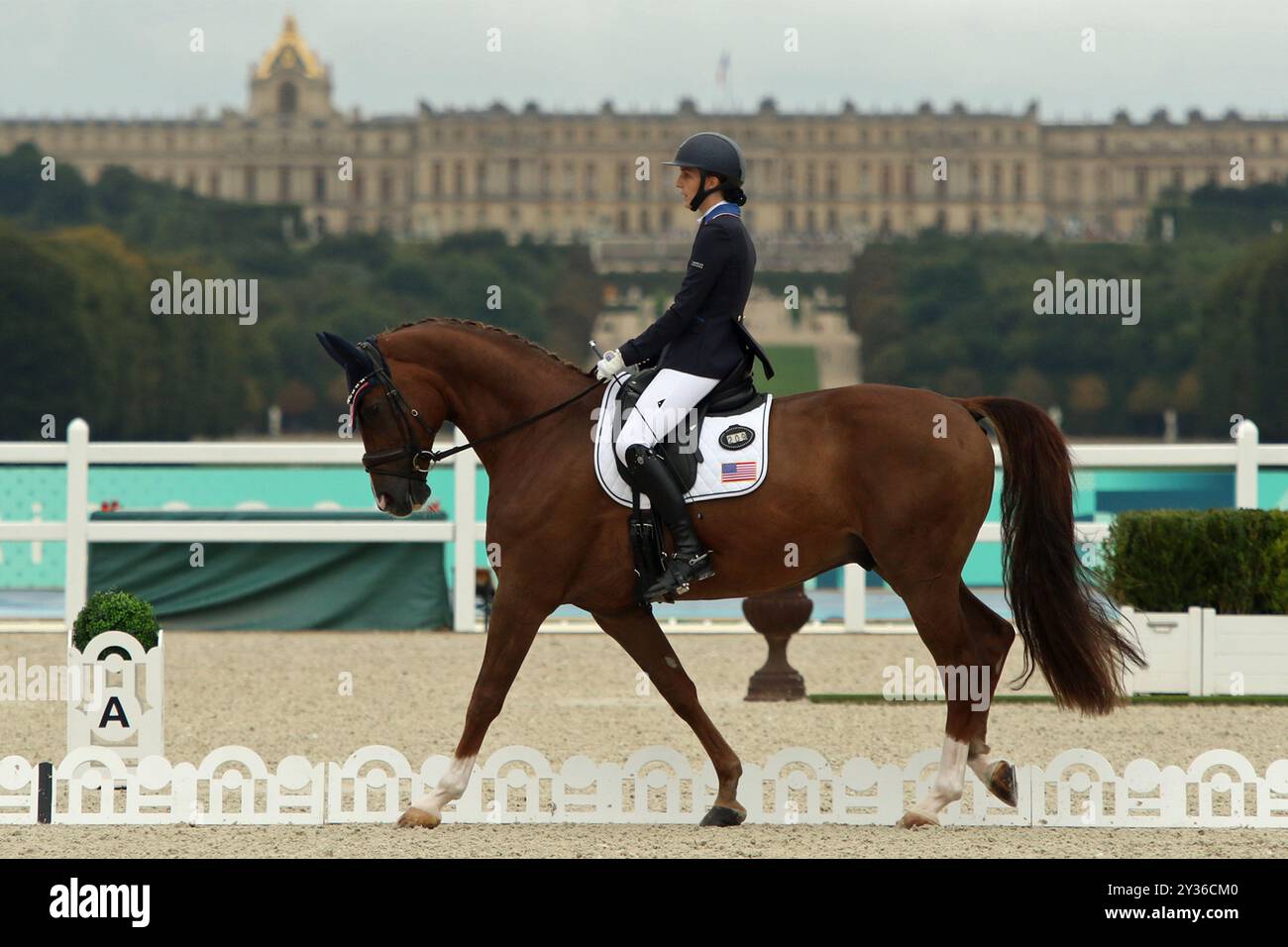 Fiona HOWARD of the USA wins gold on the horse DIAMOND DUNES - Para ...
