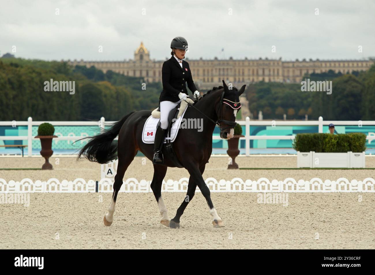 Roberta SHEFFIELD of Canada on the horse FAIRUZA - Para Equestrian ...
