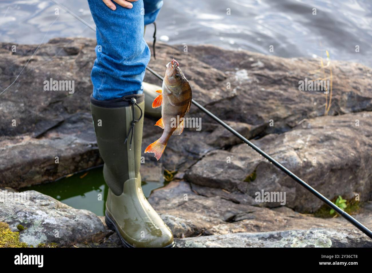 Person wearing green rubber boots hi-res stock photography and images ...